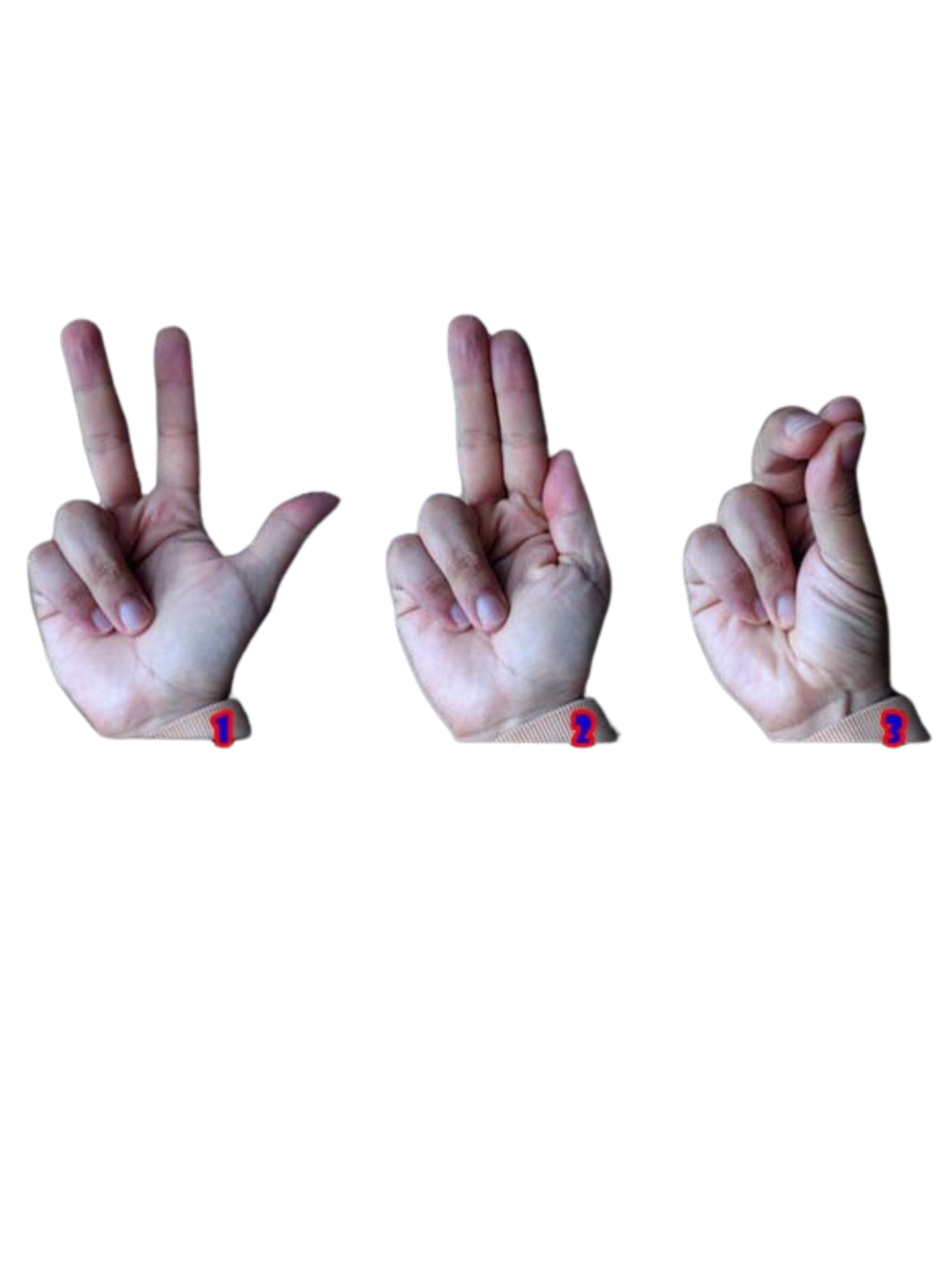 Scientifically proven Mystical Power of the Cross and Sign of the Cross ...